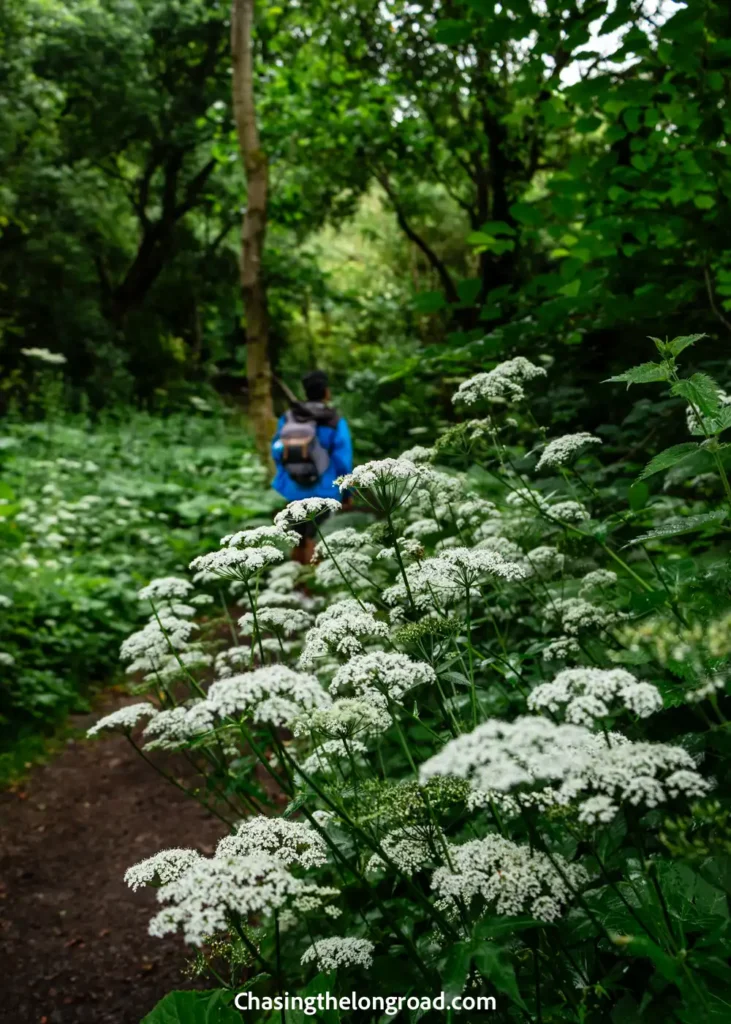 How to Visit Roslin on a Day Trip from Edinburgh